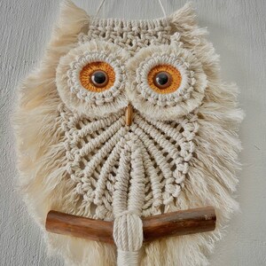 Owl Feng Shui Wall Painting, Handmade Macrame Owl Wall Painting, Boho Style Tapestry for Unique ...