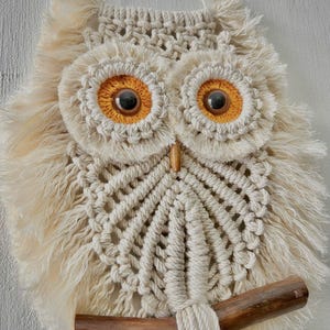 Owl Feng Shui Wall Painting, Handmade Macrame Owl Wall Painting, Boho Style Tapestry for Unique ...