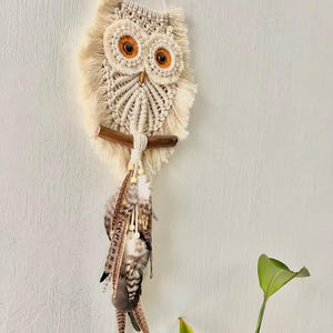 Owl Feng Shui Wall Painting, Handmade Macrame Owl Wall Painting, Boho Style Tapestry for Unique ...