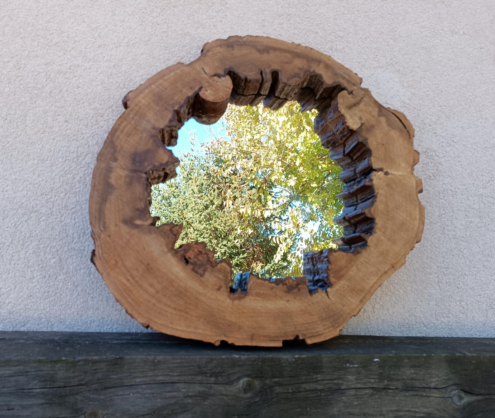 Rustic Wall Mirror, Live Edge Mirror From Natural Cavity Stump, Masive ...