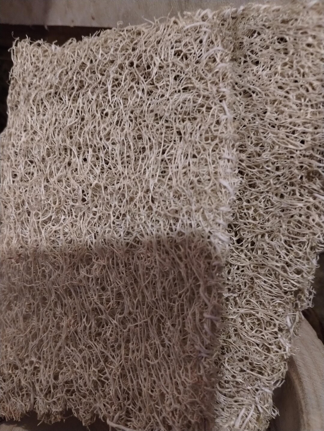 Natural Kitchen Luffa Scrubber - Etsy