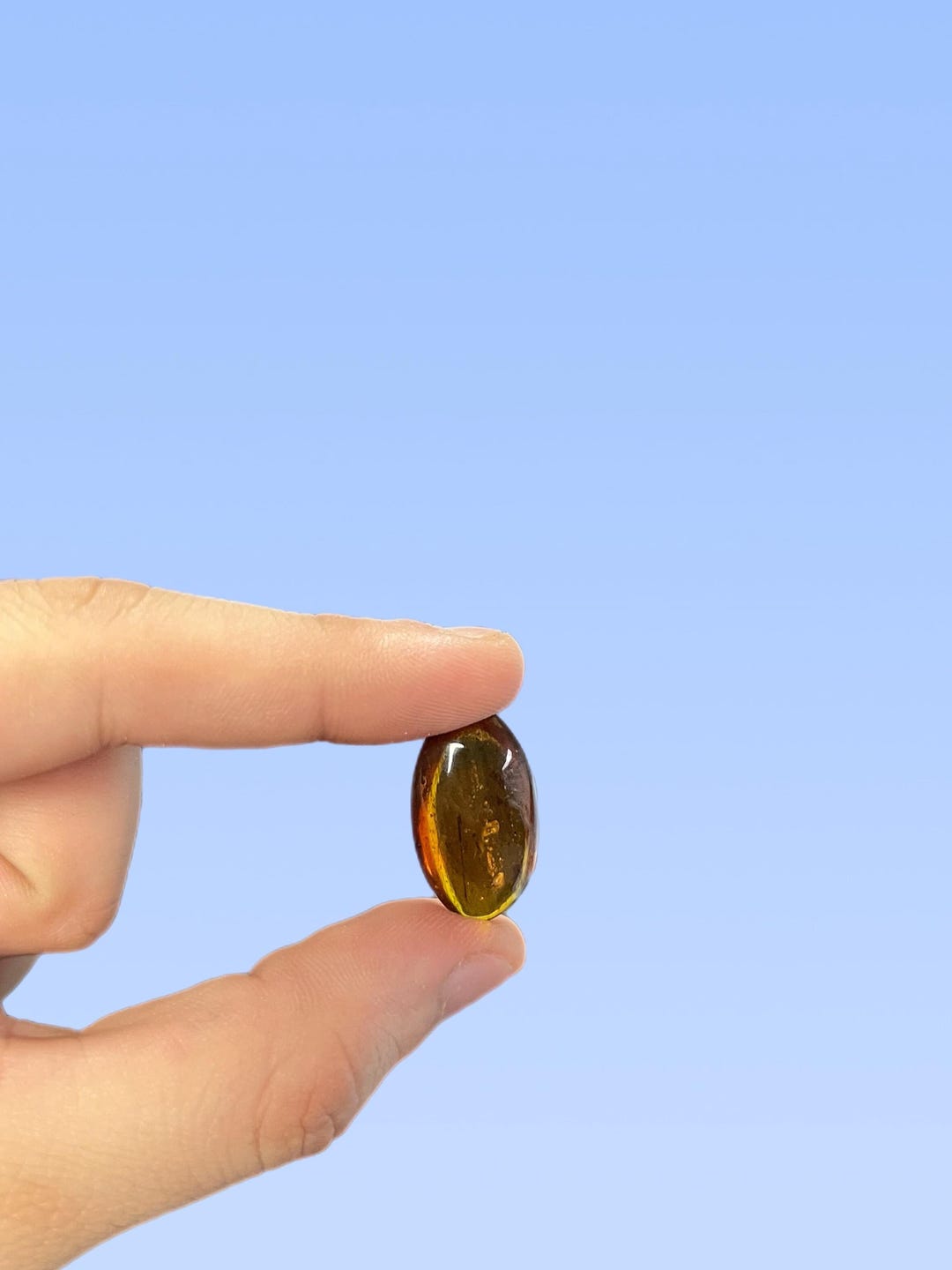 Amber W Insects | Myanmar Amber, Insect Fossils , Amber Fossil, Amber ...