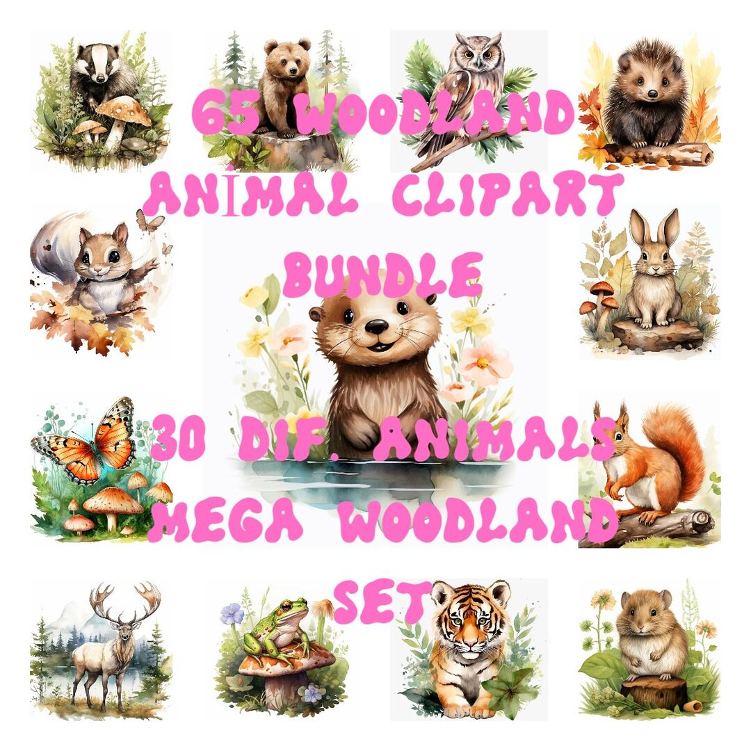 65 Woodland Animals Mega Set 1 PNG Clipart Bundle, Watercolor Forrest ...
