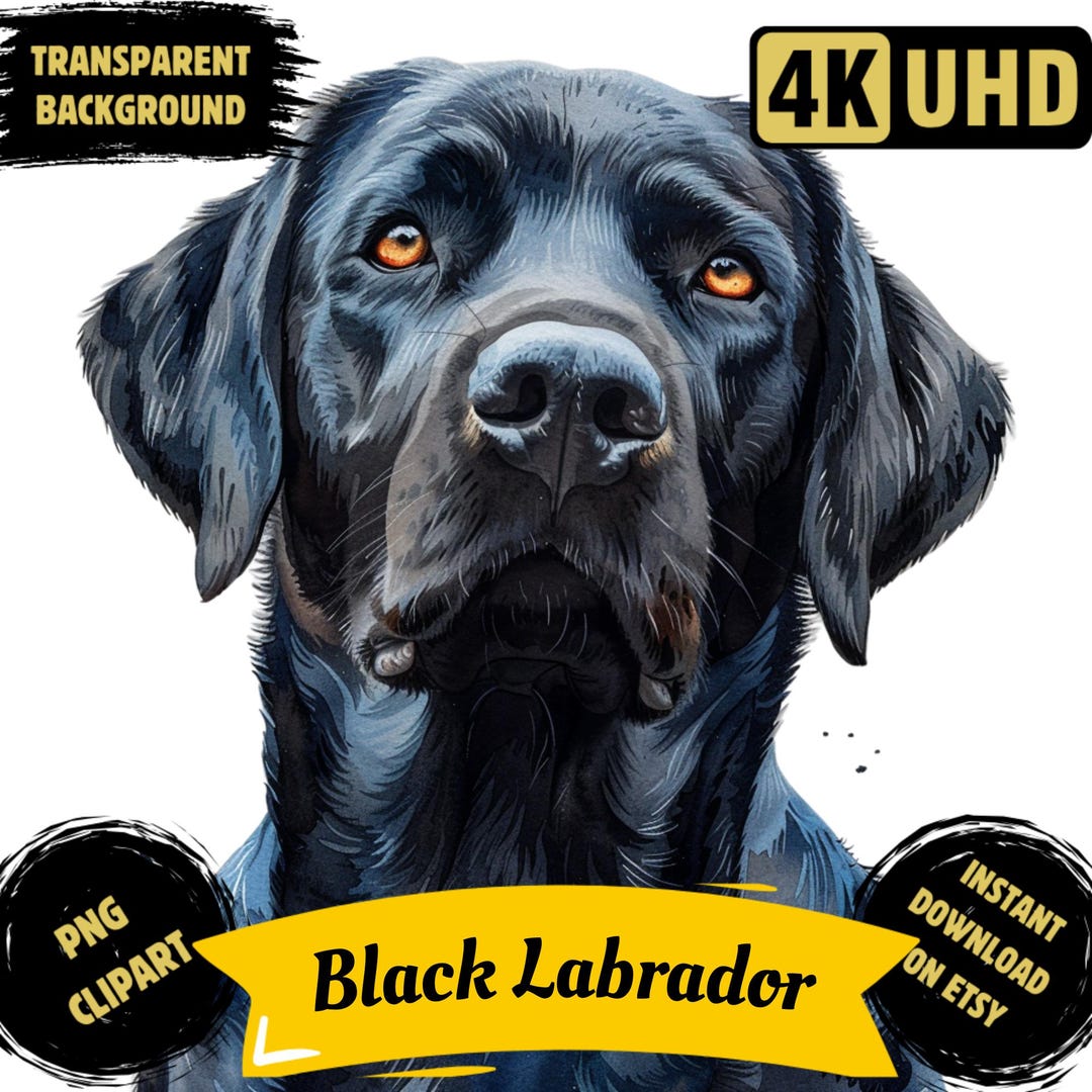 Black Labrador Retriever Png Printable Clipart Watercolor Labrador