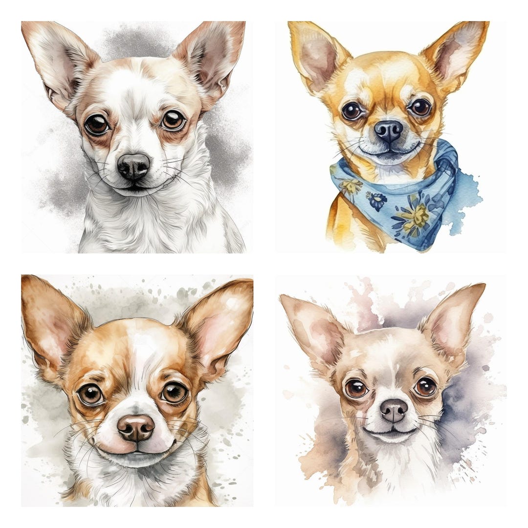 17 Chihuahua Dog Breed PNG Clipart Bundle, Watercolor Chihuahua Pet ...