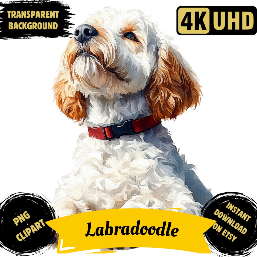 White Labradoodle Dog Breed PNG Clipart, Watercolor Labradoodle ...