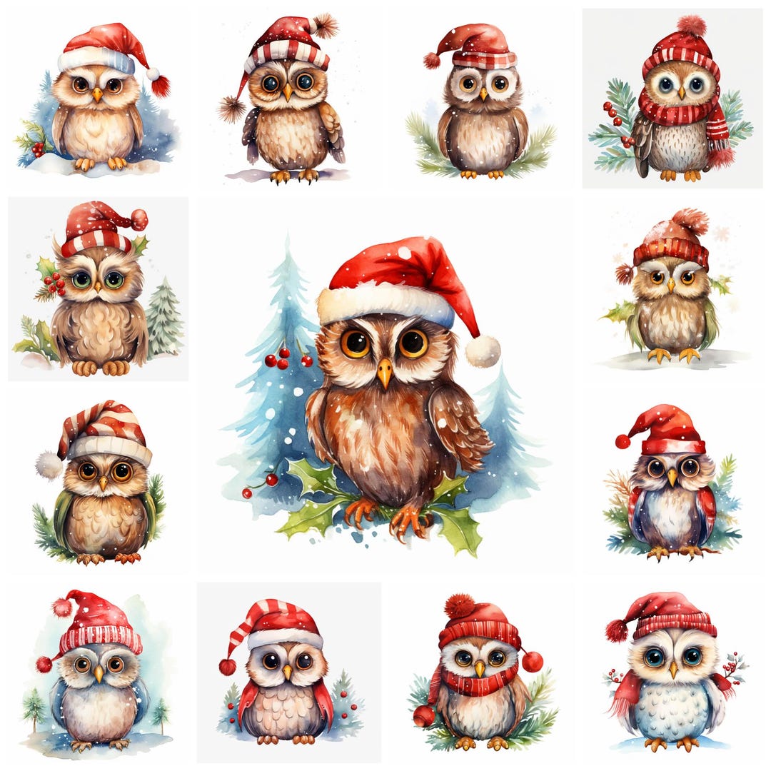 31 Christmas Owl PNG Clipart Bundle, Watercolor Owl Festive Digital Art ...
