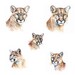 19 Mountain Lion (puma Concolor) PNG Clipart Bundle, Watercolor Puma ...