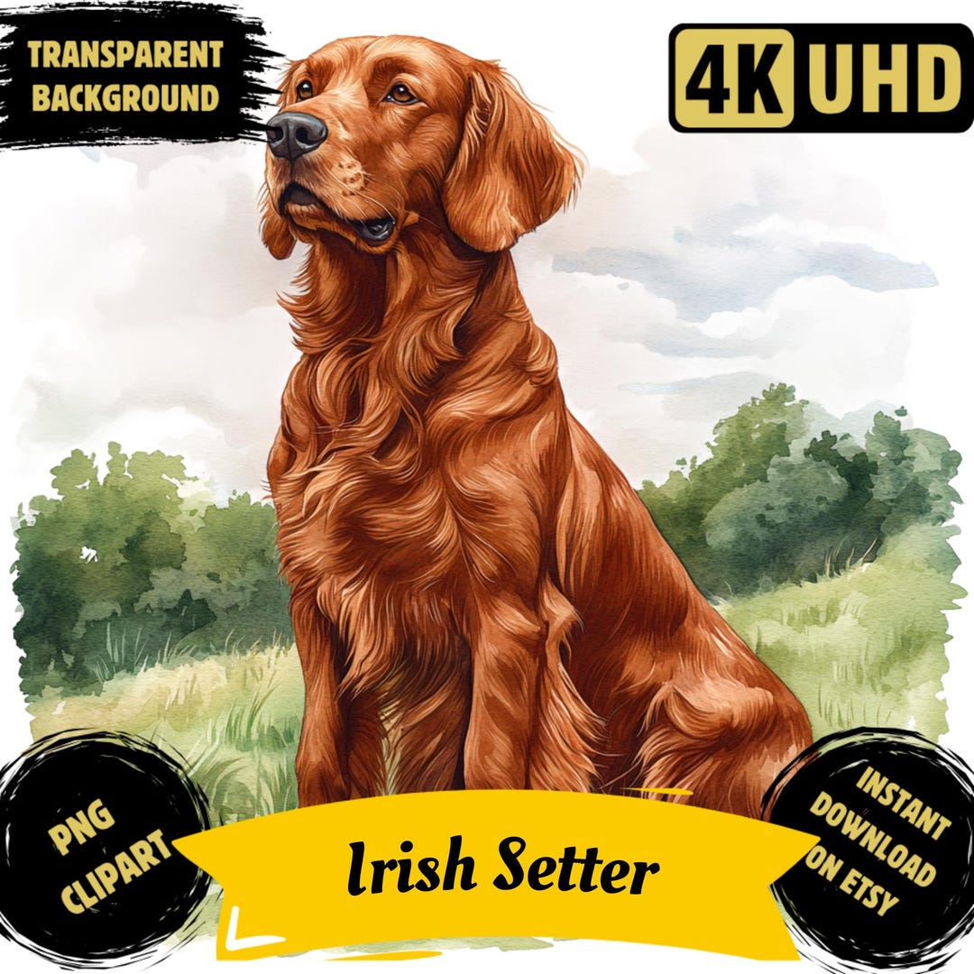 Irish Setter Dog Breed PNG Printable Clipart, Watercolor Irish Setter ...