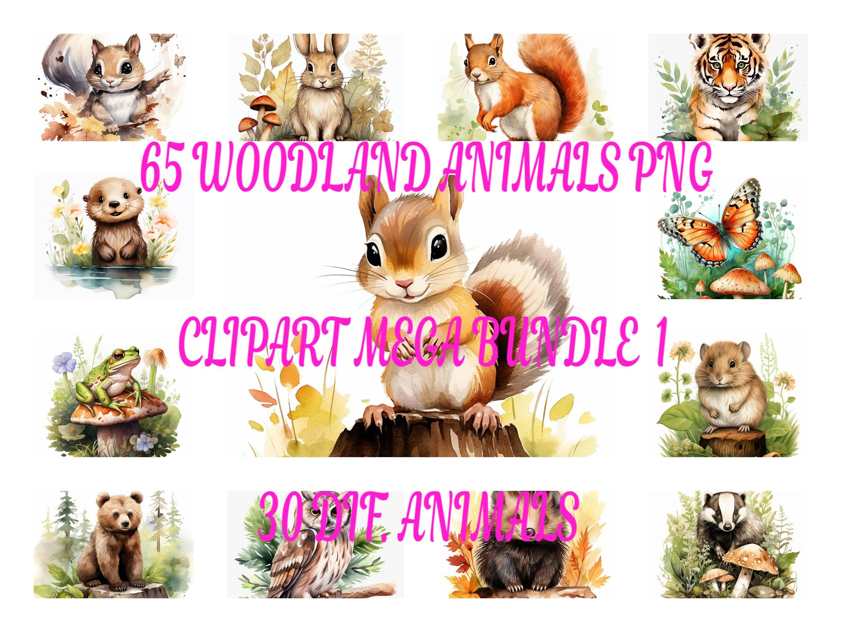 65 Woodland Animals Mega Set 1 PNG Clipart Bundle, Watercolor Forrest ...