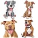 34 Cartoon Pitbull JPG Clipart Bundle, Watercolor Funny Pitbull PNG ...