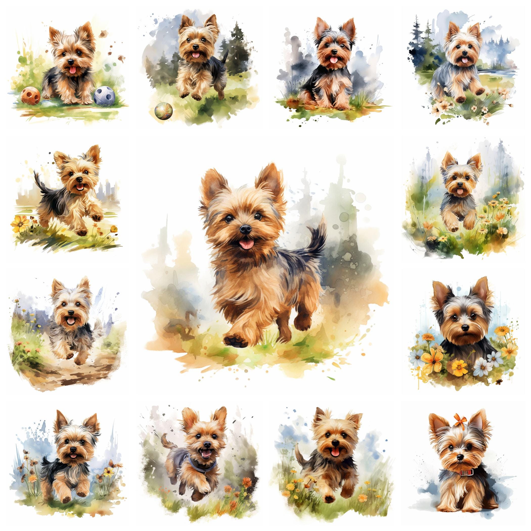 47 Yorkshire Terrier Dog Breed PNG Clipart Bundle, Watercolor Yorkie ...