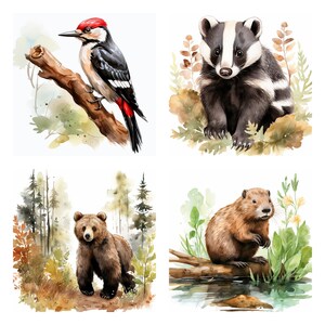 65 Woodland Animals Mega Set 1 PNG Clipart Bundle, Watercolor Forrest ...