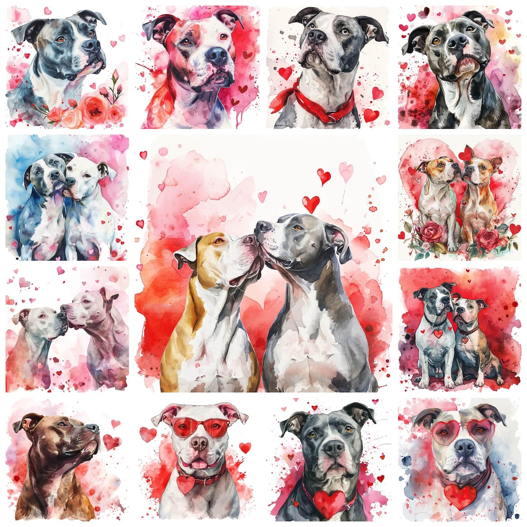 32 Valentines Day Pitbull JPG Clipart Bundle, Watercolor Pitbull Love ...