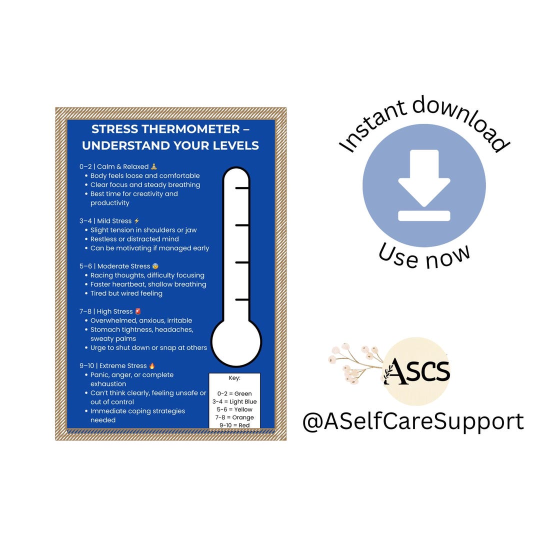 Feelings Scale Poster: Stress Thermometer, Self-regulation Chart (PDF ...