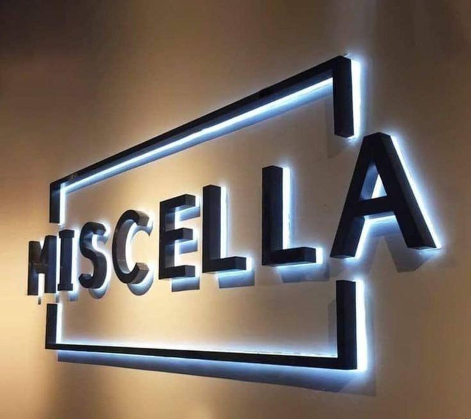 Custom 3D Metal Backlit Sign, Custom Storefront Illuminated Sign, Light ...