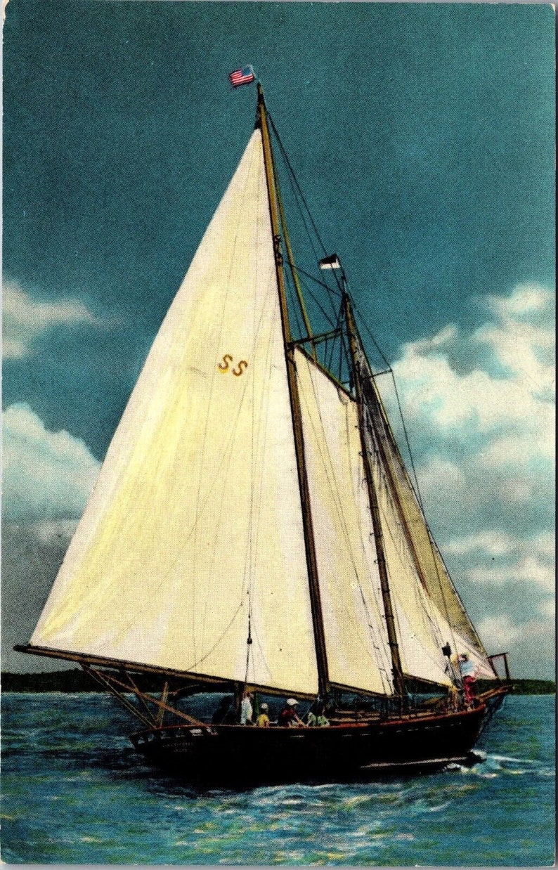 Yachting on the Great Kentucky Lake Sailboat Postcard - Etsy