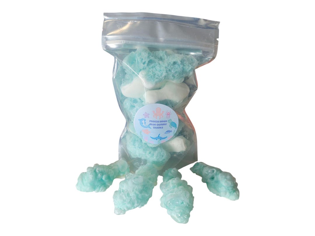 Freeze Dried Blue Gummy Sharks - Etsy