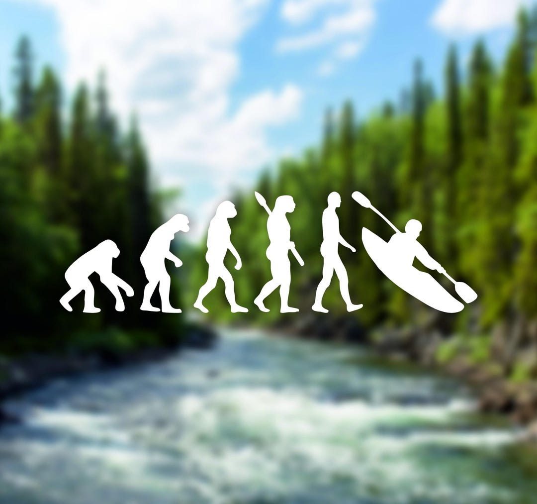 Evolution Sticker – From Monkey to Kayak Pro | Kayak Sticker ...