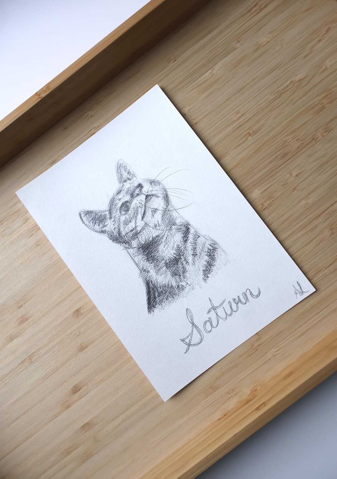 Custom Semi-realistic Hand Drawn Cat Portrait | Personalized Pet ...