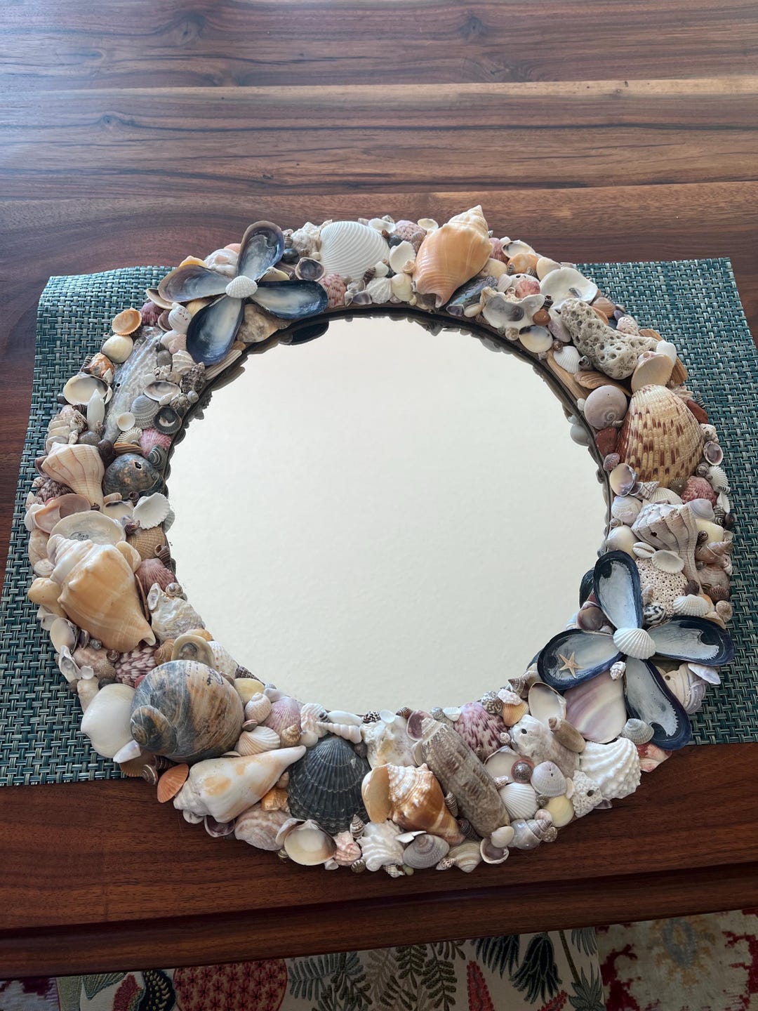 Wall Seashell Mirror, 16” Shell Mirror, Seashell Mirror, Coastal Mirror ...