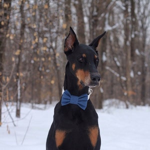 Classic Denim Snap-in Dog Bows® Bow Tie - for Dogs and Cats, Sailor ...