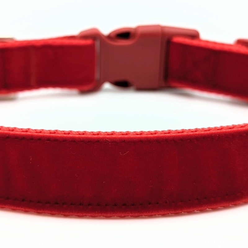 Red Collar - Etsy
