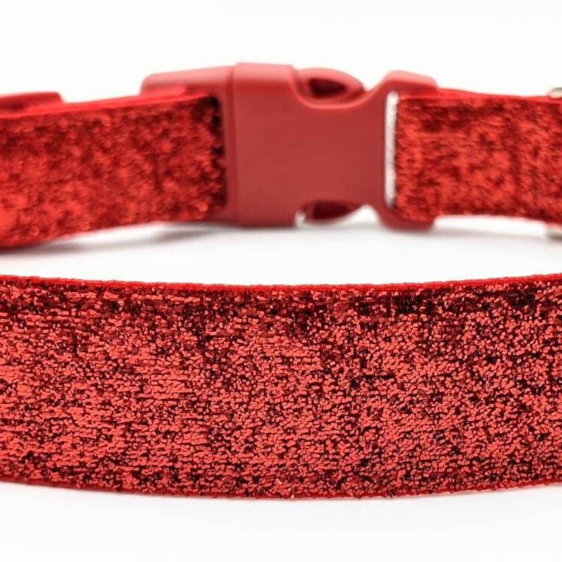 Bling Dog Collar - Etsy