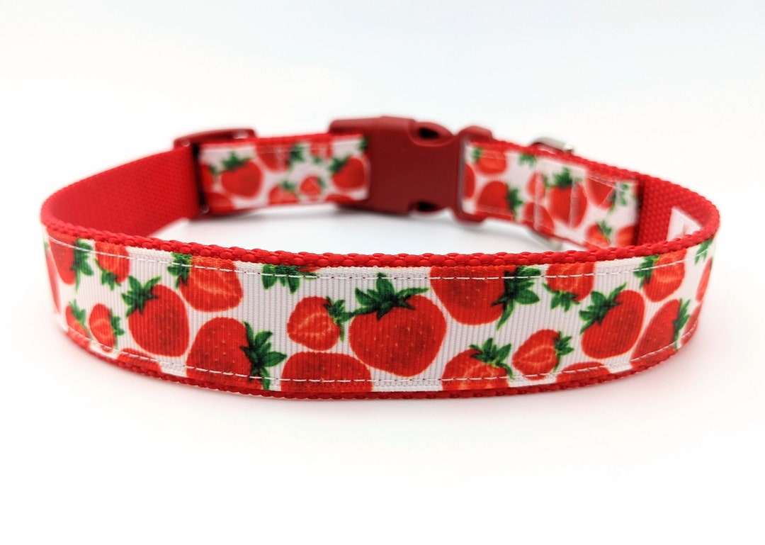Strawberry Dog Collar / Summer Fruit Berries - Etsy