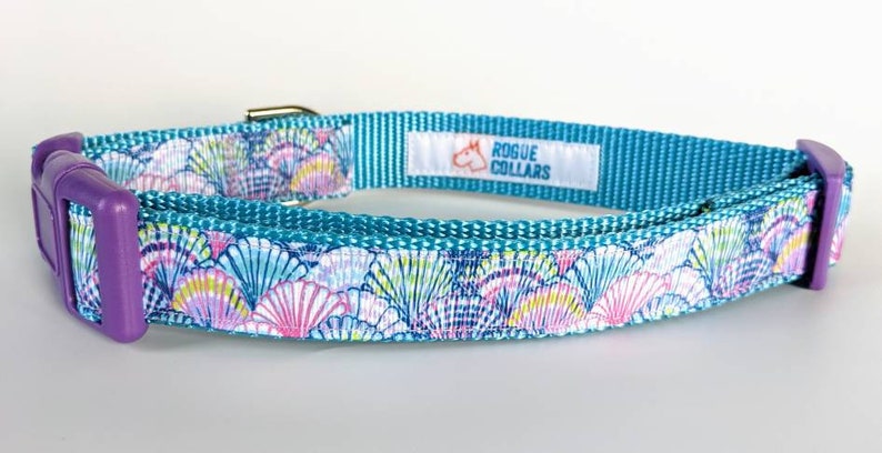 Seashells Dog Collar / Beach Dog Collar / Summer Dog Collar / - Etsy