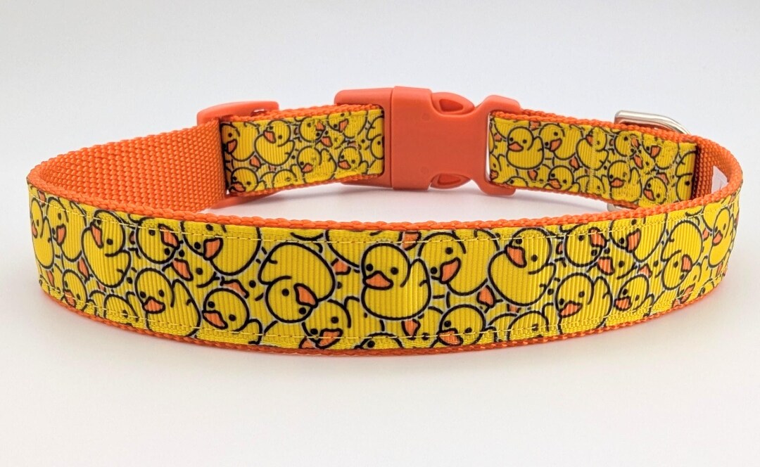 Duck Duck Dog Collar - Yellow Rubber Ducky Ribbon on Nylon - Etsy
