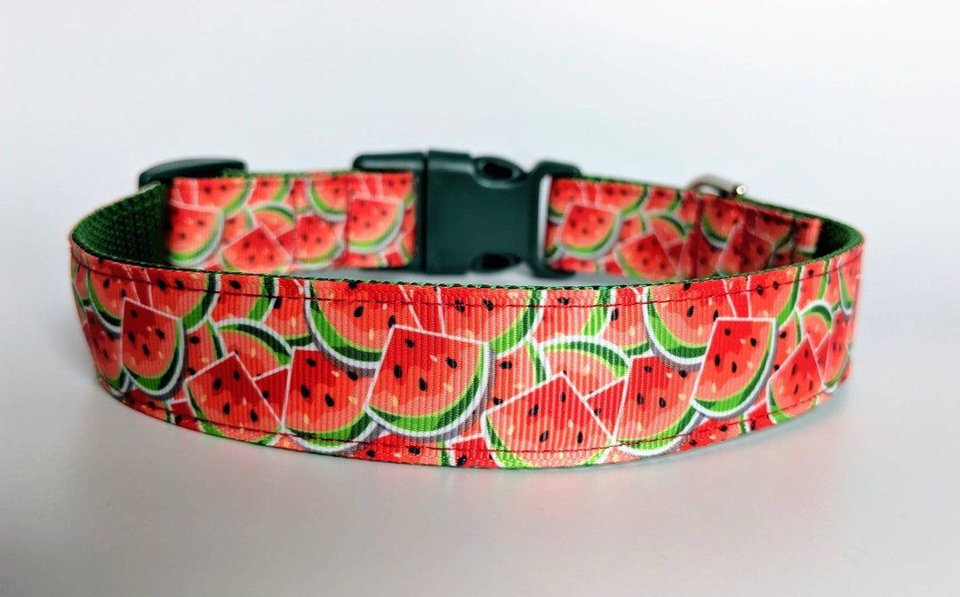 Watermelon Dog Collar: Summer Beach Food Collar - Etsy
