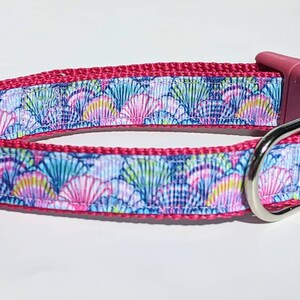 Seashells Dog Collar / Beach Dog Collar / Summer Dog Collar / Ocean Dog ...