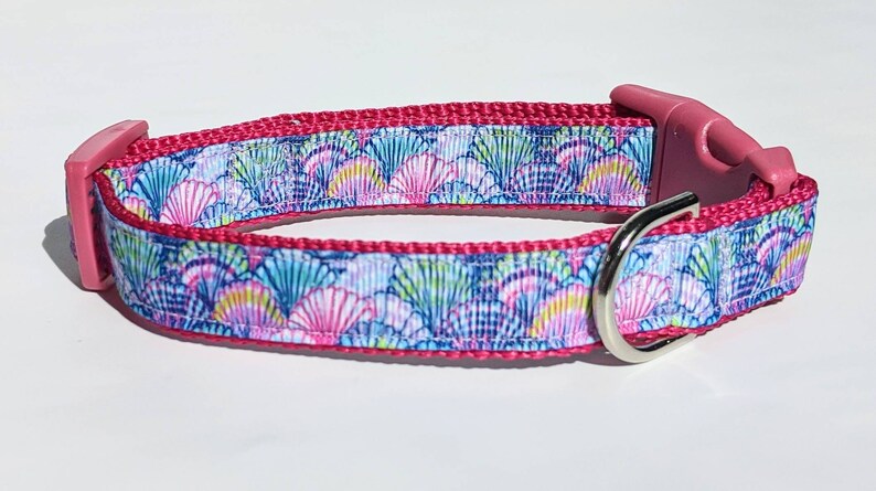 Seashells Dog Collar / Beach Dog Collar / Summer Dog Collar / - Etsy