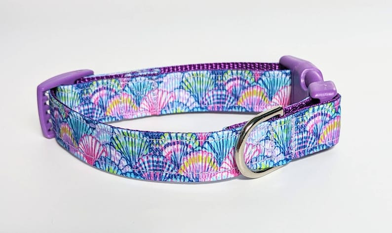 Seashells Dog Collar / Beach Dog Collar / Summer Dog Collar / - Etsy