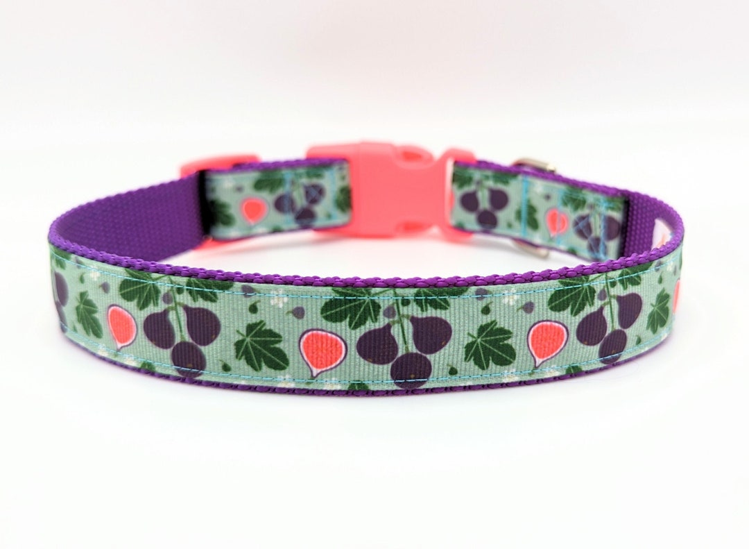 Fig Dog Collar: Purple Figs Fruit Design, Choose the Nylon Color - Etsy