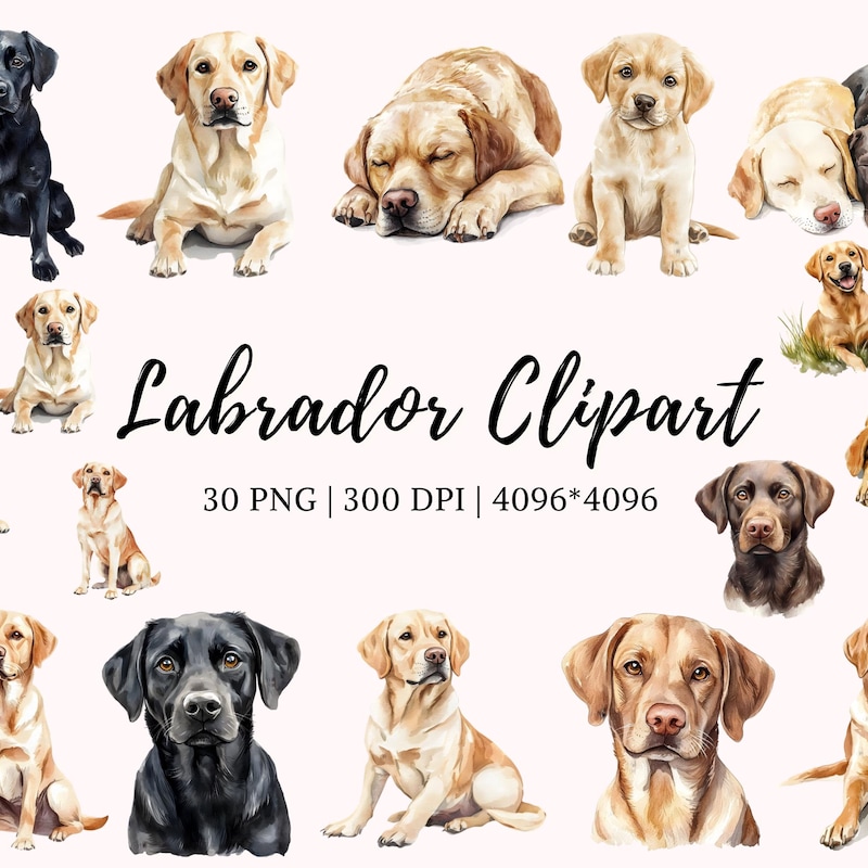 Labrador Retriever Clip Art Black and White - Etsy