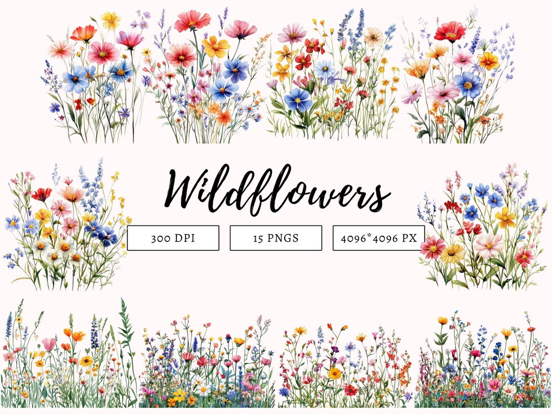 Wildflower Clipart Bundle Png, Floral Clipart Bundle, Watercolor Floral ...