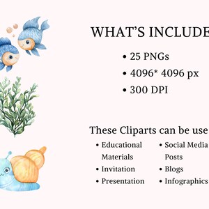 Sea Animal Clipart Bundle Png, Undersea Watercolor Clipart Bundle ...