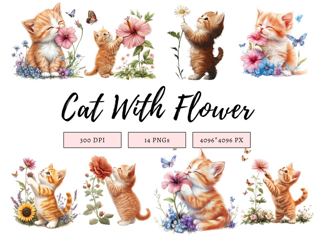 Sweet Cat Clipart Bundle, Cute Cat With Flower Clipart, Kitten Clipart ...