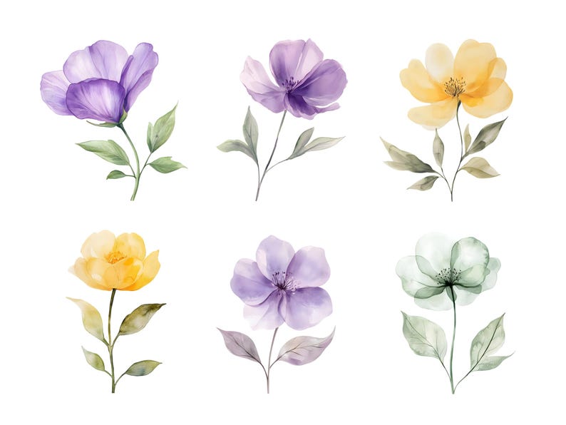 35 Abstract Flower Clipart Bundle Png, Abstract Flower Clipart, Flowers ...