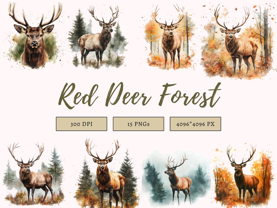 Red Deer Clipart Set, Red Deer Clipart Bundle Png, Watercolor Red Deer ...