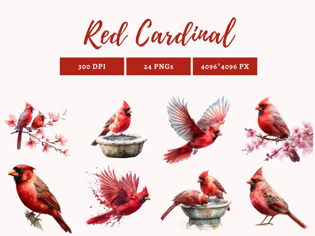 Watercolor Red Cardinal Clipart Png Bundle, Red Cardinal Clipart, Cute ...