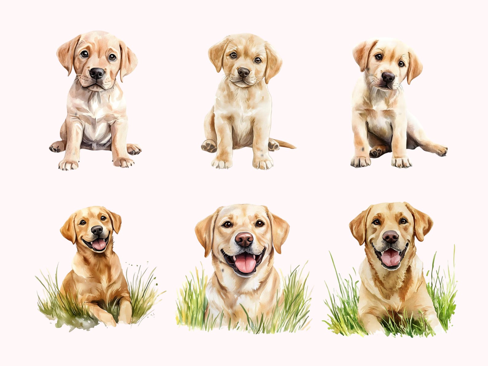 Labrador Clipart Png Bundle, Labrador Clipart, Labrador Bundle Png ...