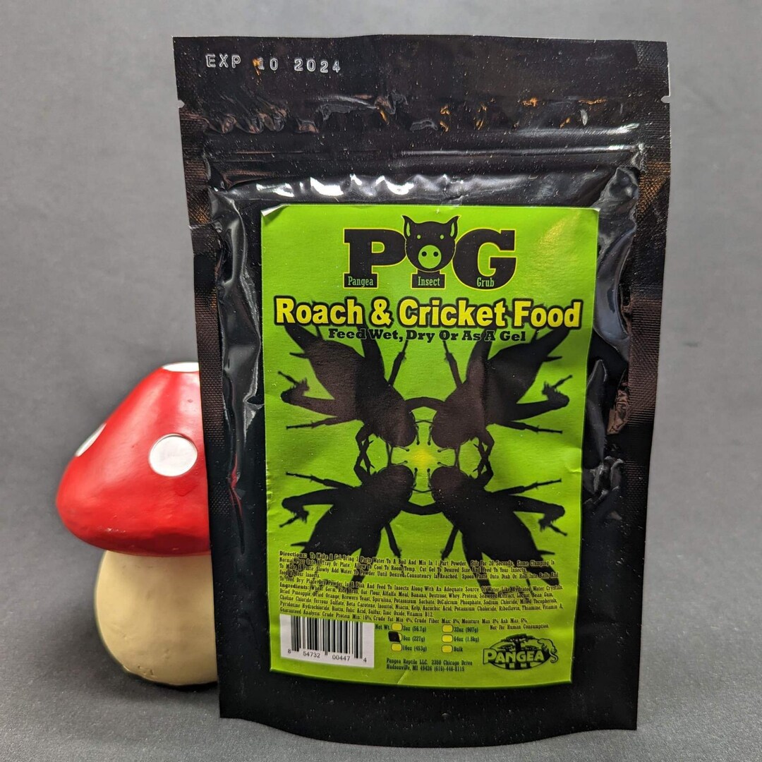 Pangea Nutrient-dense Gut Load for Feeder Insects (8oz) - Etsy