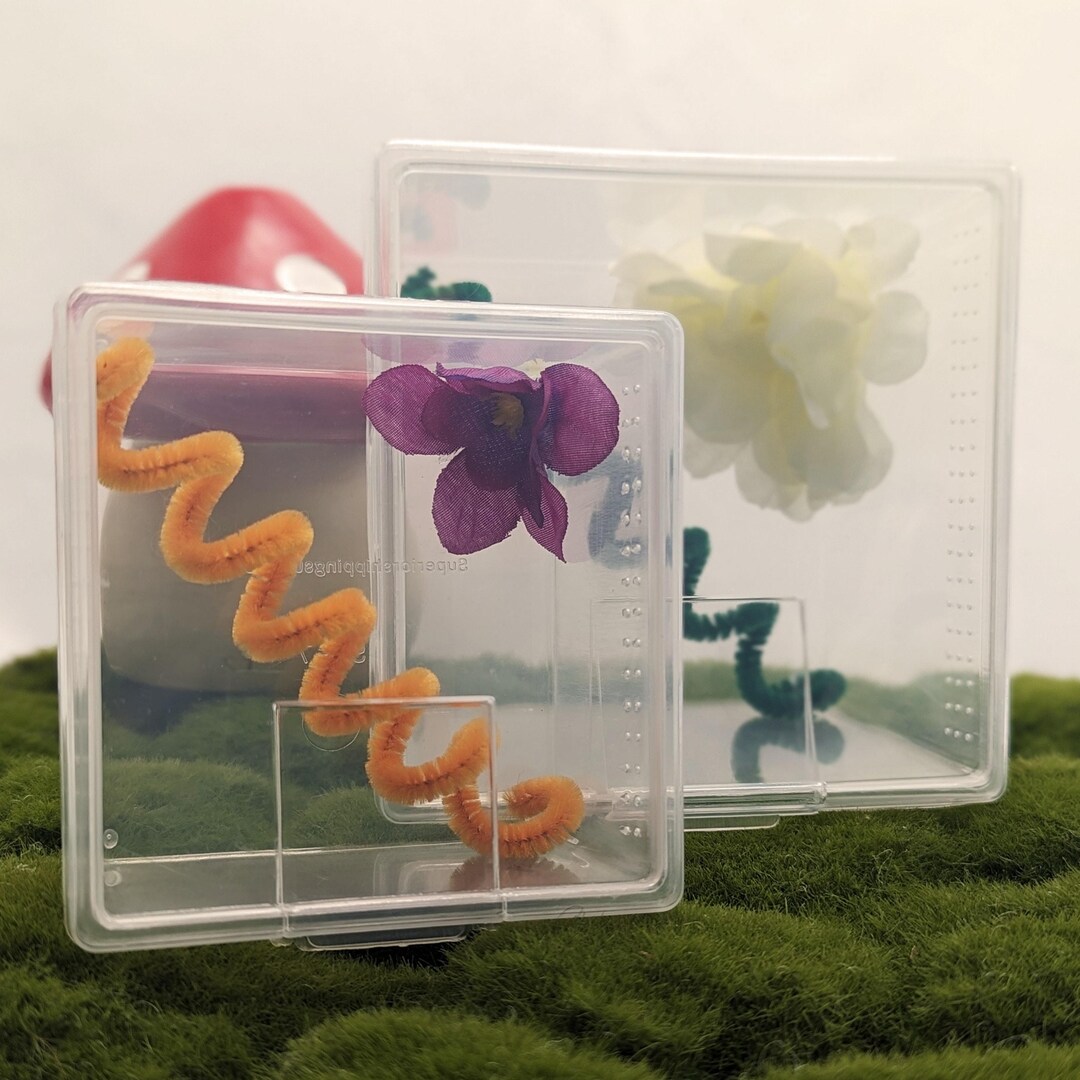 Jumping Spider and Invert Sling Studio - Etsy