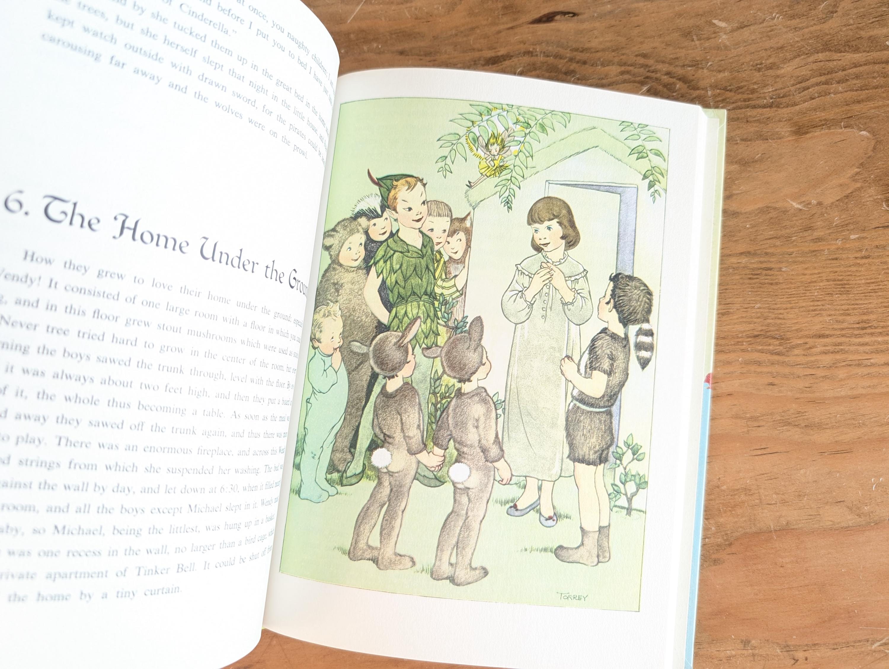 Peter Pan and Alice in Wonderland Dandelion Library Hardcover Book, 6 ...