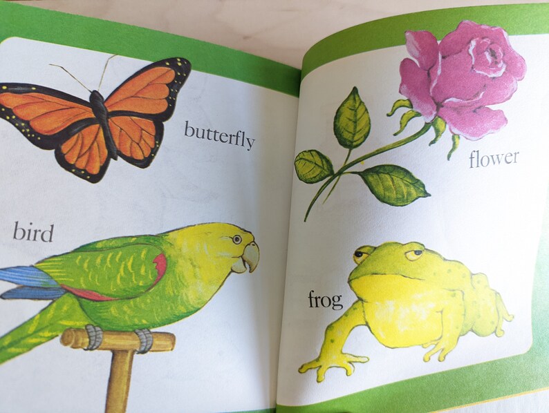 My Book of Words a First Little Golden Book 1982 5.5x6 - Etsy