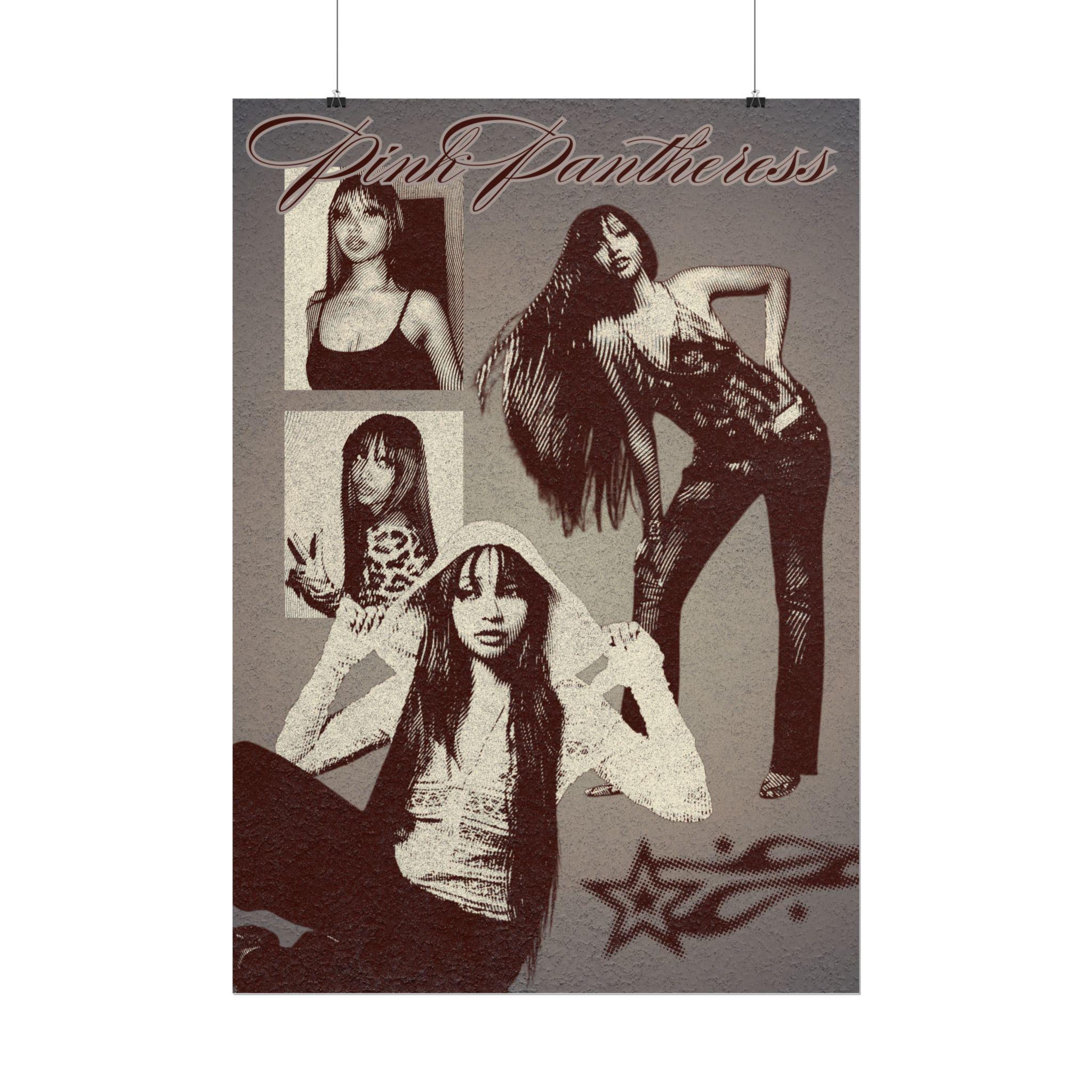 Pink Pantheress Poster, Y2k Music Poster, Edgy Wall Art, Vintage ...