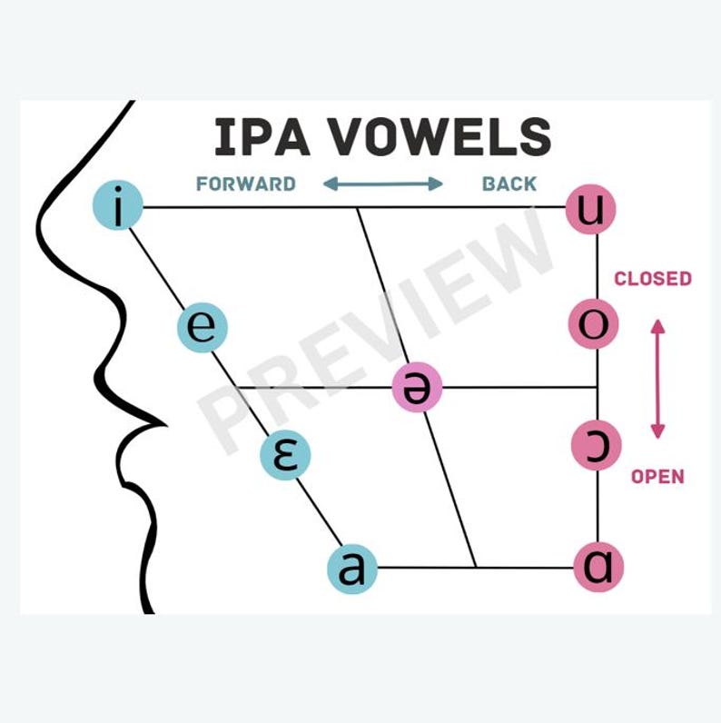 IPA Vowel Poster International Phonetics Alphabet 24x18 - Etsy Australia